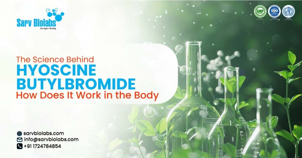 Hyoscine Butylbromide API – Uses, Benefits & Specifications
